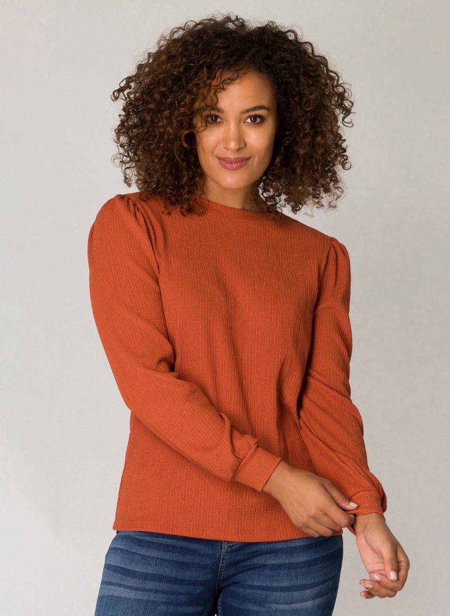 IVY BEAU Quinlan Top - Brown - maat 38 | bol.