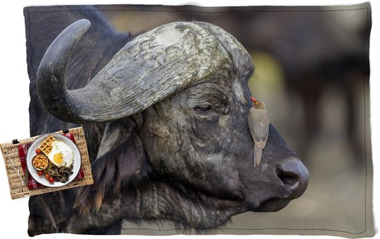 Waterdicht Picknickkleed - Geschikt als Strandlaken / Strandmat ...