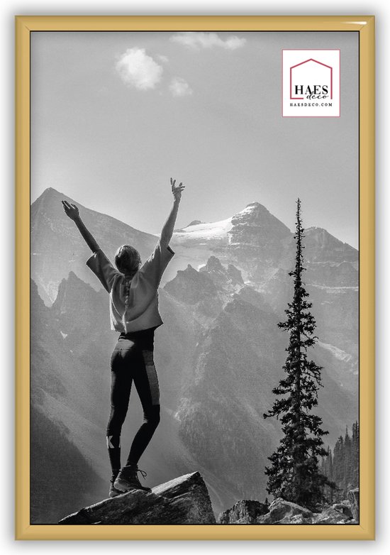 HAES DECO - Kunststof fotolijst 20x30 goud Easy Frame - EF4G | bol.com