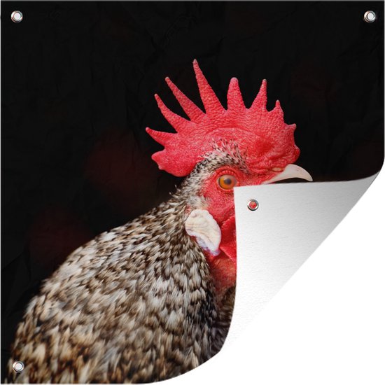 Tuindoek Close up van een rode haan - 100x100 cm | bol.com