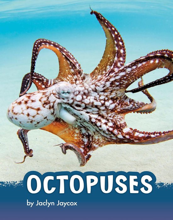 Animals - Octopuses (ebook), Jaclyn Jaycox | 9781977158130 | Boeken | bol
