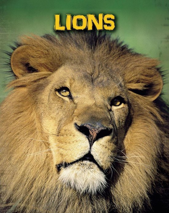 Living in the Wild: Big Cats - Lions (ebook), Claire Throp ...