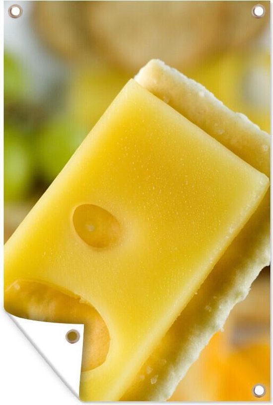 Affiche de jardin Fromage suisse sur un cracker 40x60 cm - petit ...