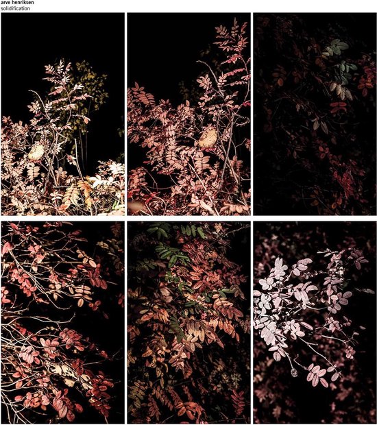 Solidification (Box), Arve Henriksen | LP (album) | Muziek | bol.com