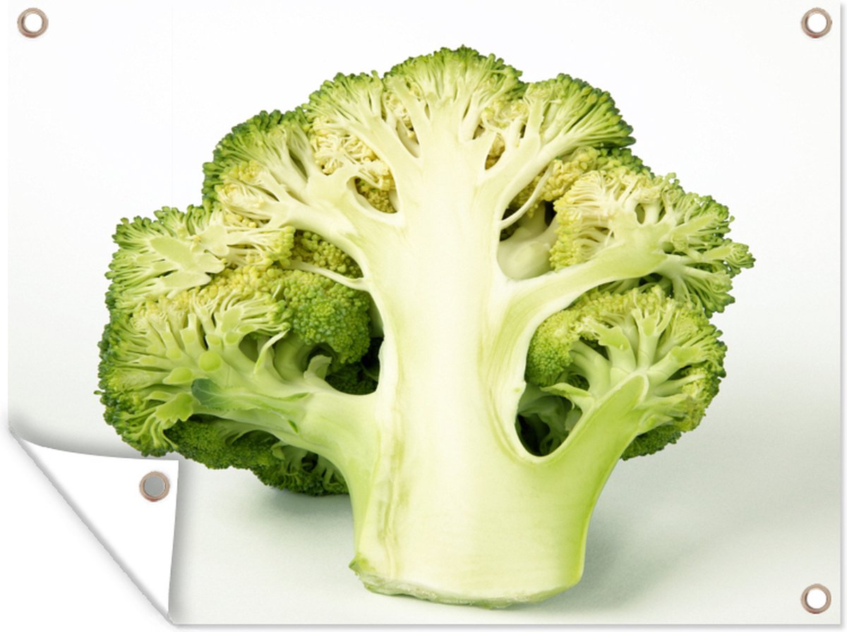 Tuin decoratie Een doorgesneden broccoli met haar karakteristieke ...
