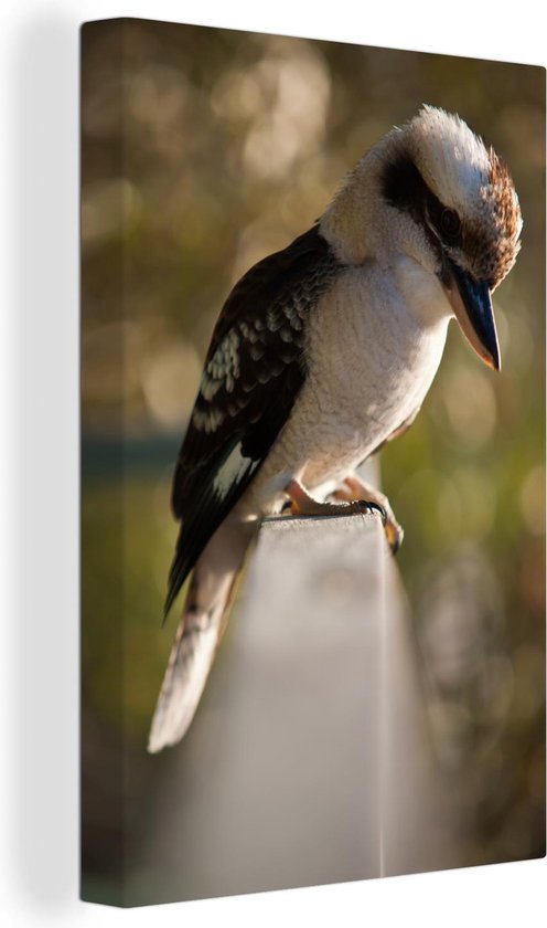Canvas Schilderij Een kookaburra die zit op een railing - 60x90 cm ...