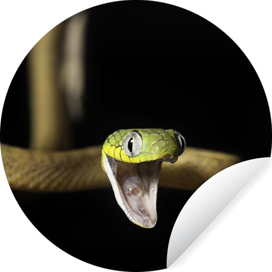 WallCircle - Muurstickers - Behangcirkel - Slang - Groen - Geel - ⌀ 140 cm -... | bol