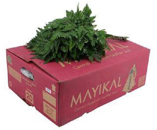 20x Sg ledervaren junior | bol