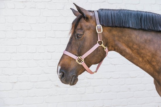 Nylon halster Wellington oud roze Full | bol