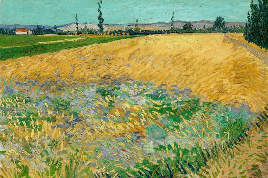 Vincent van Gogh - Wheatfield - Tarweveld (1888) - 2:3 | bol