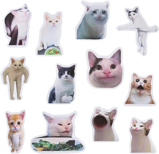 Cat Meme Fridge Magnets - Set van 12 - Grappige Dierenmagneten voor ...