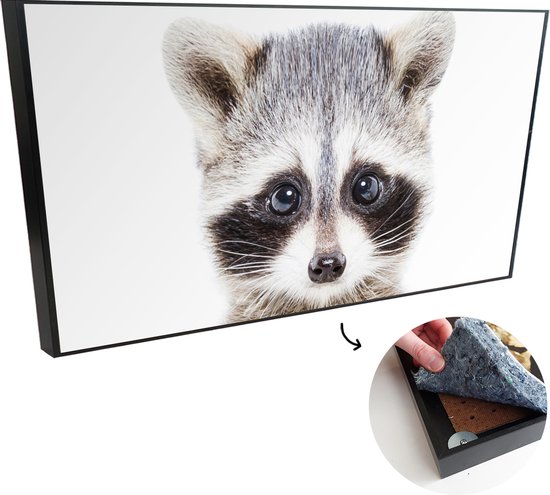 Wasbeer - Dieren - Natuur - Wit | bol