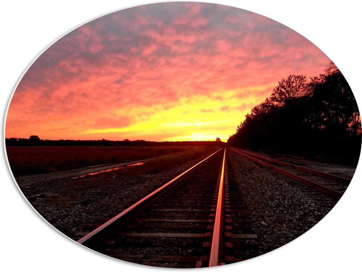 PVC Schuimplaat Ovaal - Zon verdwijnend achter Treinrails - 68x51 cm ...