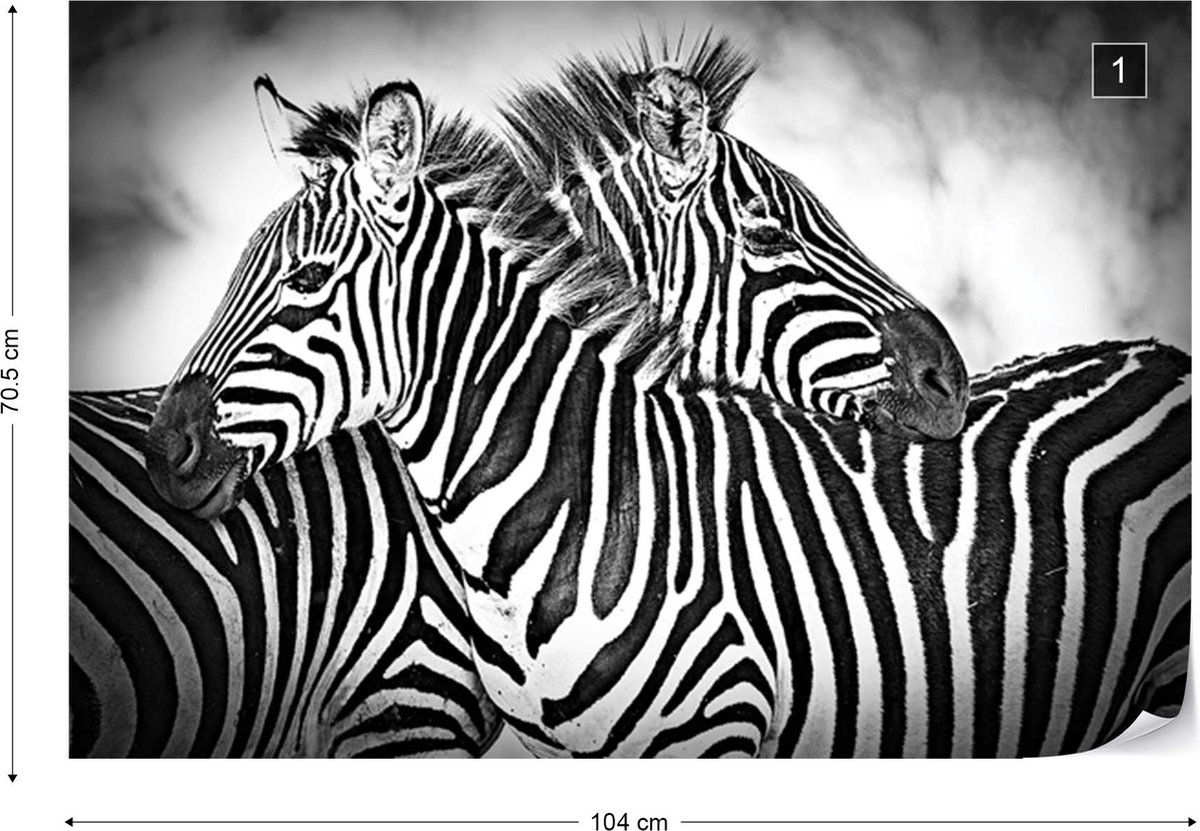 Fotobehangkoning - Behang - Fotobehang - Zebra - Zebra's - Vliesbehang ...
