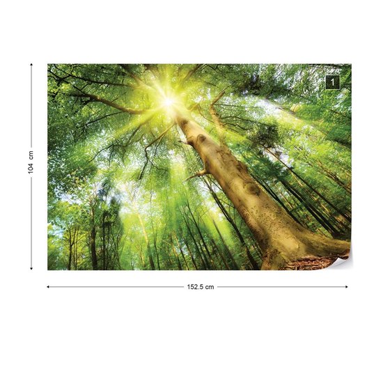 Fotobehangkoning - Fotobehang - Vliesbehang - Behang - Grote Boom met ...