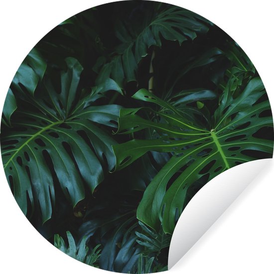 WallCircle - Muurstickers - Behangcirkel - Planten - Jungle - Bladeren - ⌀ 120 cm -... | bol