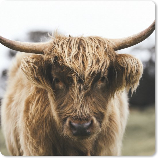 Muismat XXL - Bureau onderlegger - Bureau mat - Schotse Hooglander ...