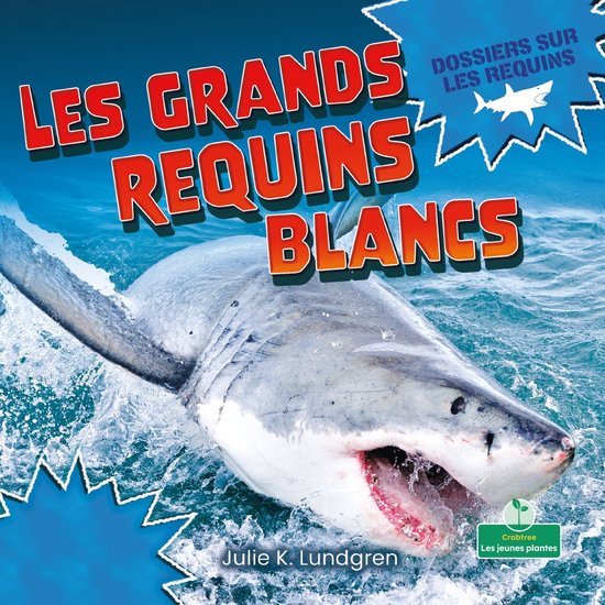 Dossiers sur les requins (Shark Files) - Les grands requins blancs ...