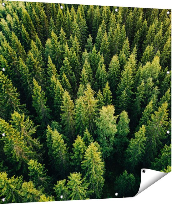 Gards Tuinposter Bos met Bomen vanaf Boven - 110x110 cm - Tuindoek - Tuindecoratie -... | bol.com
