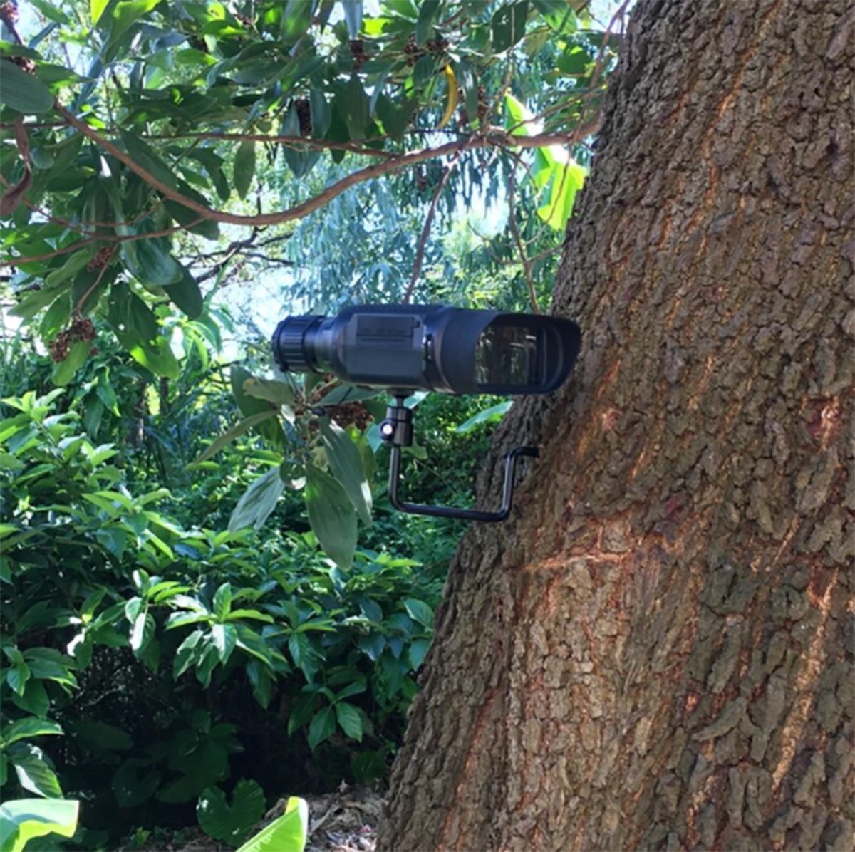 Scouting Camera Mount - Camera Boomarm - Bevestiging aan Boom ...