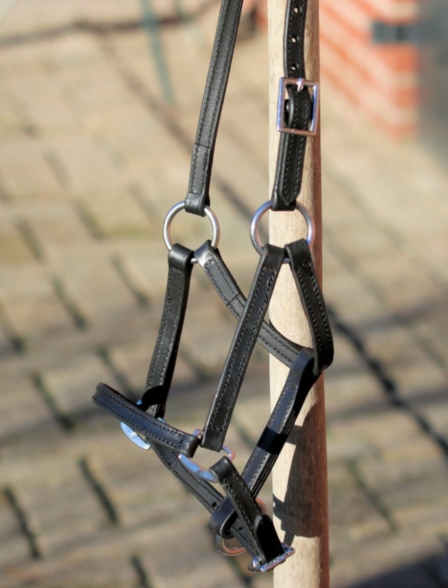 PW - Halster- Leer - Zwart - a1 | bol.com