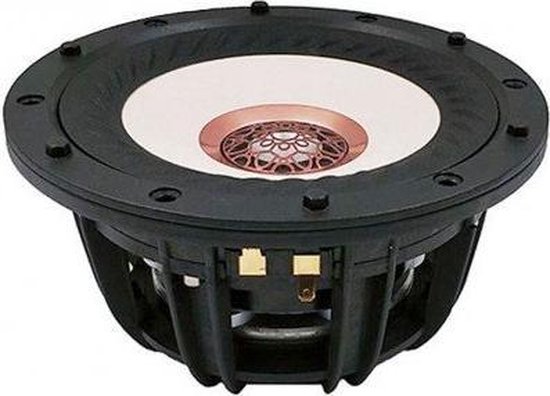 Tang Band W6-2313 6-1/2 Coaxial Full-Range Woofer | bol.com