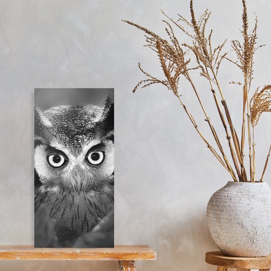 Glasschilderij - Foto op glas - Wilde dieren - Uil - Vogel - Zwart ...