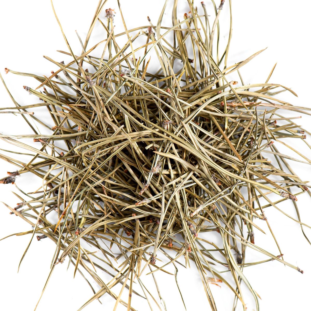 Dennen Naalden Thee Kwaliteit - Dennen Naalden 100g | bol.com