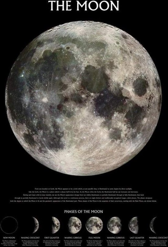 Pyramid Poster - The Moon Phases - 91.5 X 61 Cm - Multicolor | bol