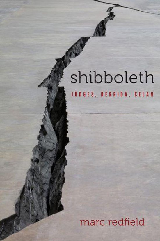 Lit Z - Shibboleth (ebook), Marc Redfield | 9780823289080 | Boeken ...