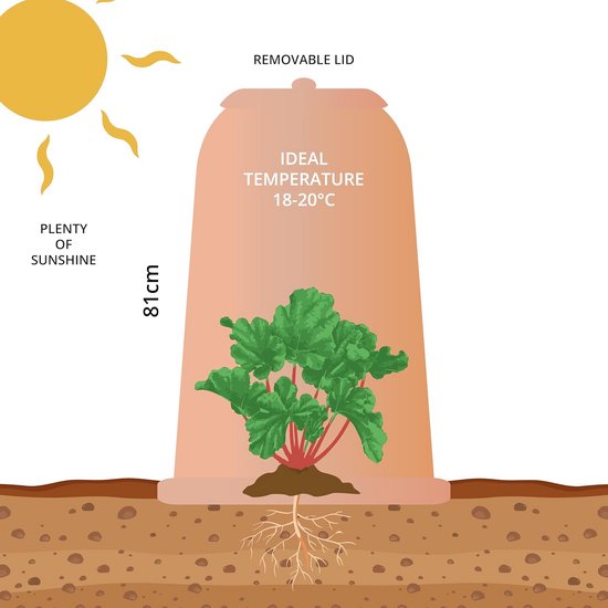 Victoriaanse Stijl Rabarber Drijver Terracotta Look Kunststof ...