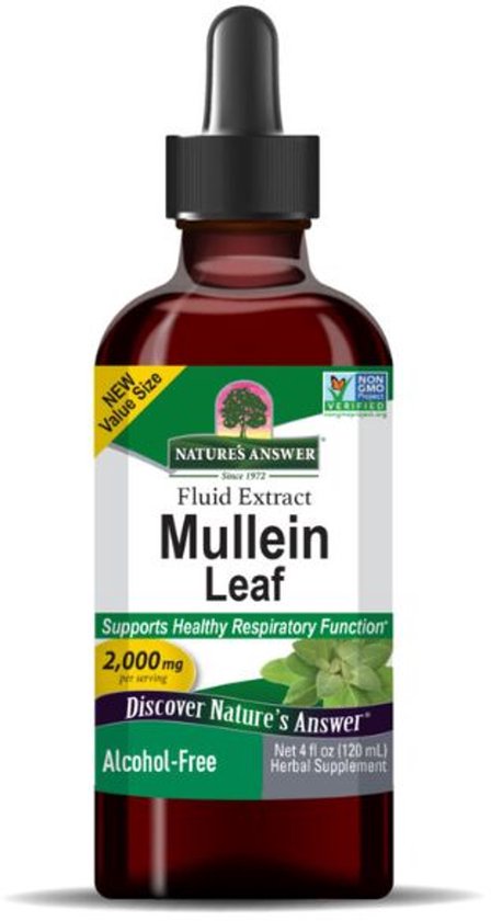 Mullein (Koningskaars) Extract Alcoholvrij – Nature's Answer - 120ml | bol