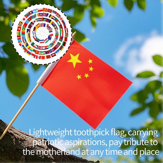 100 Drapeaux Mondiaux Piques - Imprimés Recto-Verso - Piques à Cocktail ...