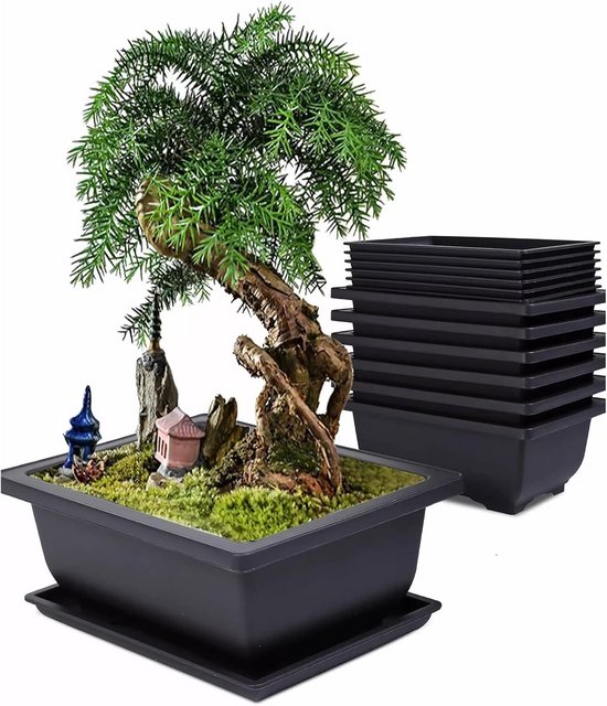 Set van 6 Vierkante Bonsai Potten met Wateropvangschalen - 12 cm ...