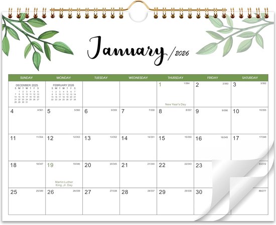 Wandkalender 18 Maanden 2025-2026 (Juli 2025 - December 2026) - Compact ...
