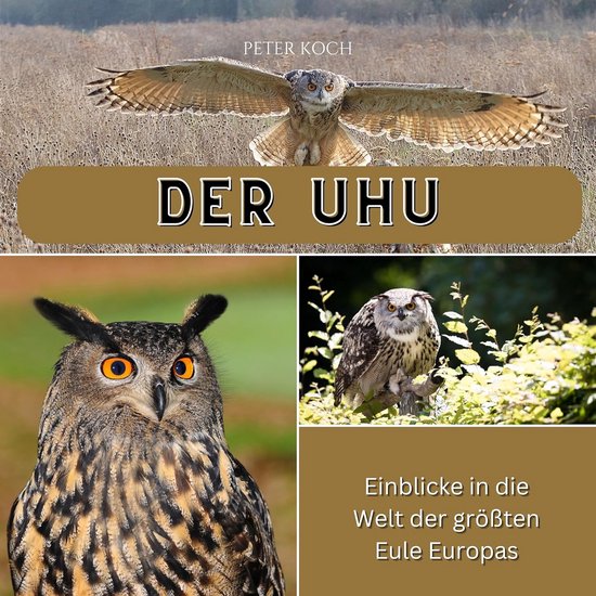 De Ooruil: Fascinerende Inzichten in de Grootste Uil van Europa ...