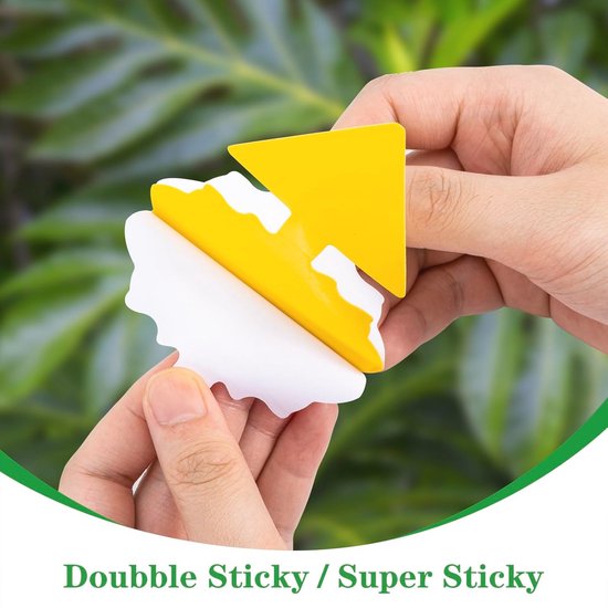 Dubbelzijdige Fungus Gnat Vliegenvanger voor Planten - Niet Giftig en ...