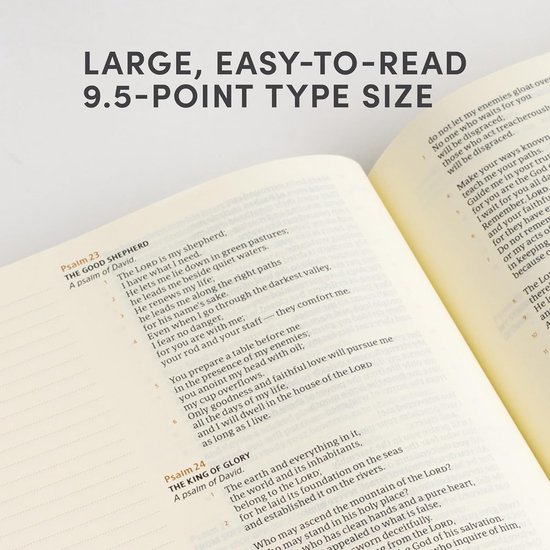 Notitiebijbel Groot Lettertype met Ruime Marges voor Persoonlijke ...