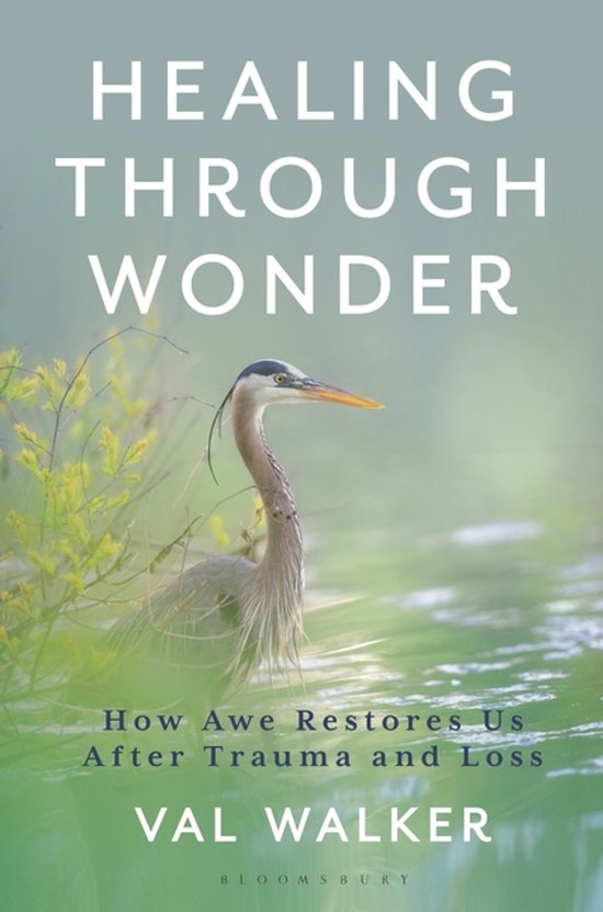 Healing Through Wonder, Val Walker | 9798881842406 | Boeken | bol