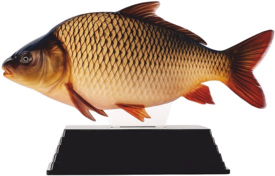 Real Fish Trofee Schubkarper 20 cm Vis Prijs Karper Karperwedstrijd ...