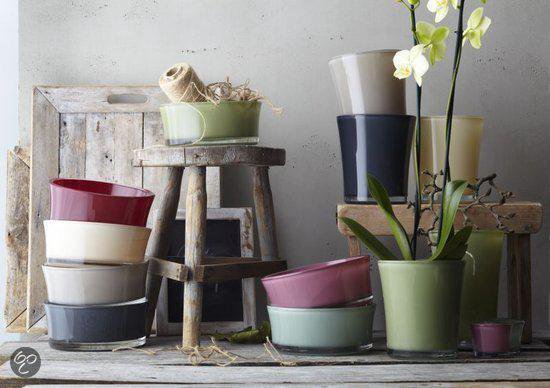 Leonardo Bloom Deco - Schaal - Antraciet - Ø19 cm - Glas | bol.com