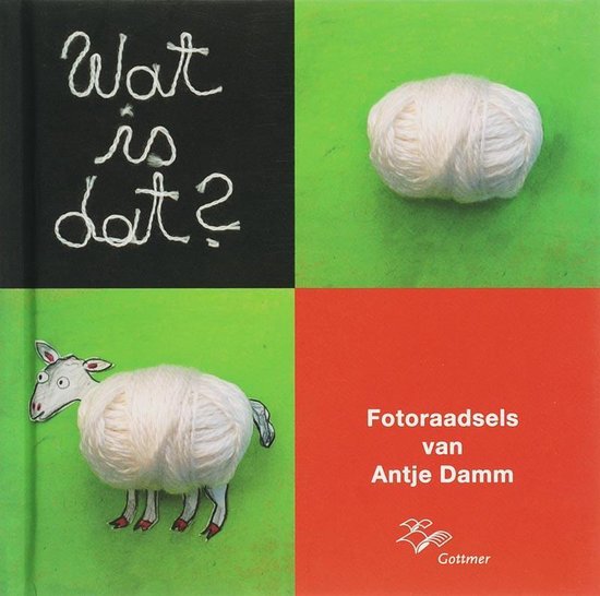 Wat Is Dat?, Antje Damm | 9789025742157 | Boeken | bol