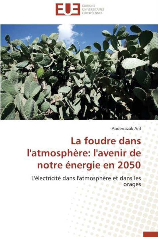 Omn.Univ.Europ.- La Foudre Dans l'Atmosphère | 9783838183046 | Arif-A | Boeken | bol.com