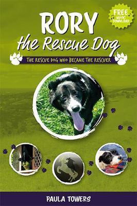 Rory the Rescue Dog, Paula Towers | 9781916487109 | Boeken | bol