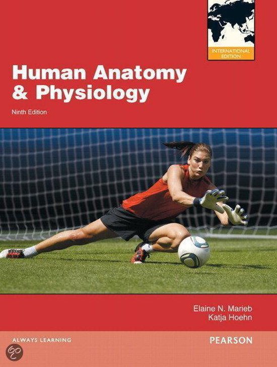 Human Anatomy & Physiology/interactive Physiology 10-system Suite CD ...