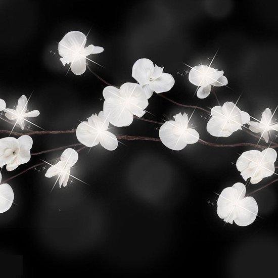 luca lighting - slinger phalaenopsis creme l125 led warm wit 32l | bol.com