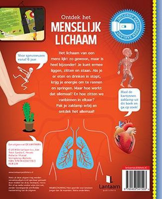 Ontdek het menselijk lichaam + kartonnen zaklamp, Sandra C. Hessels ...