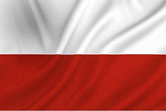 Dokkumer Vlaggen Centrale - Poolse vlag - 100 x 150 cm | bol.com