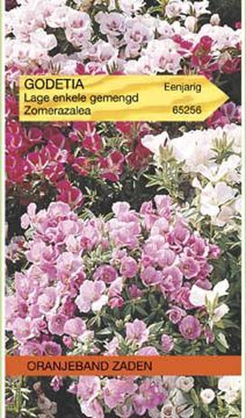 Oranjebandzaden - Godetia, zomerazalea gemengd | bol