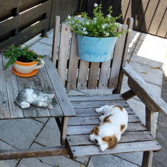 Slapende hond Spaniël | bol.com